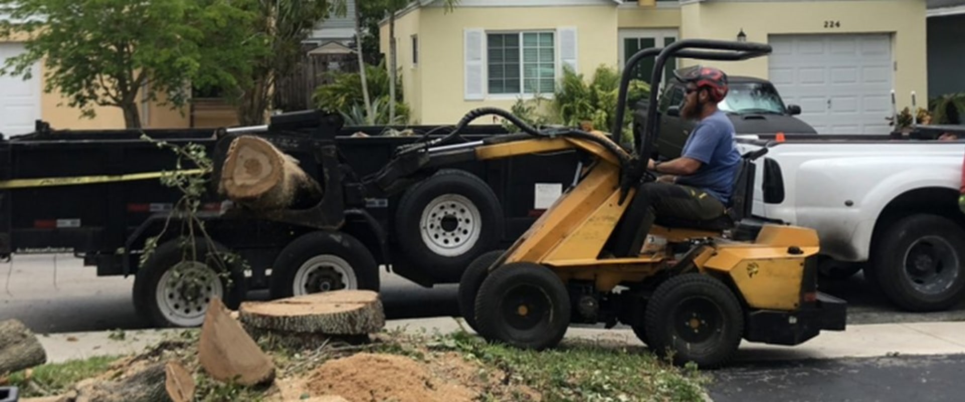 The Ultimate Tree Service Equipment For Maintaining Your Pembroke Pines ...