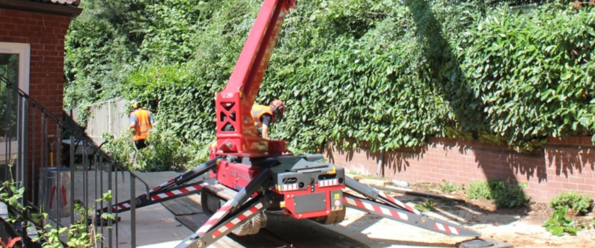 Tree Service Equipment: What You Need to Know