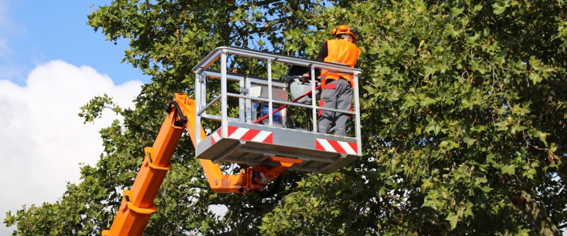 Maintaining and Servicing Tree Service Equipment: A Comprehensive Guide