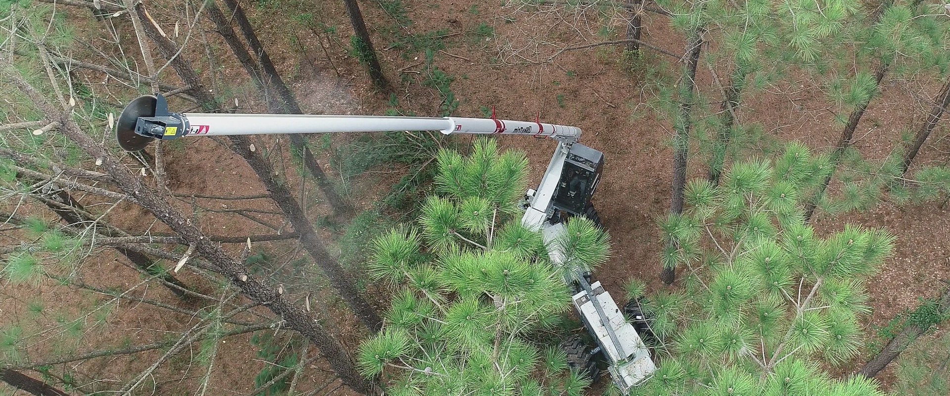 Tree Service Equipment in Hazardous Conditions: What You Need to Know