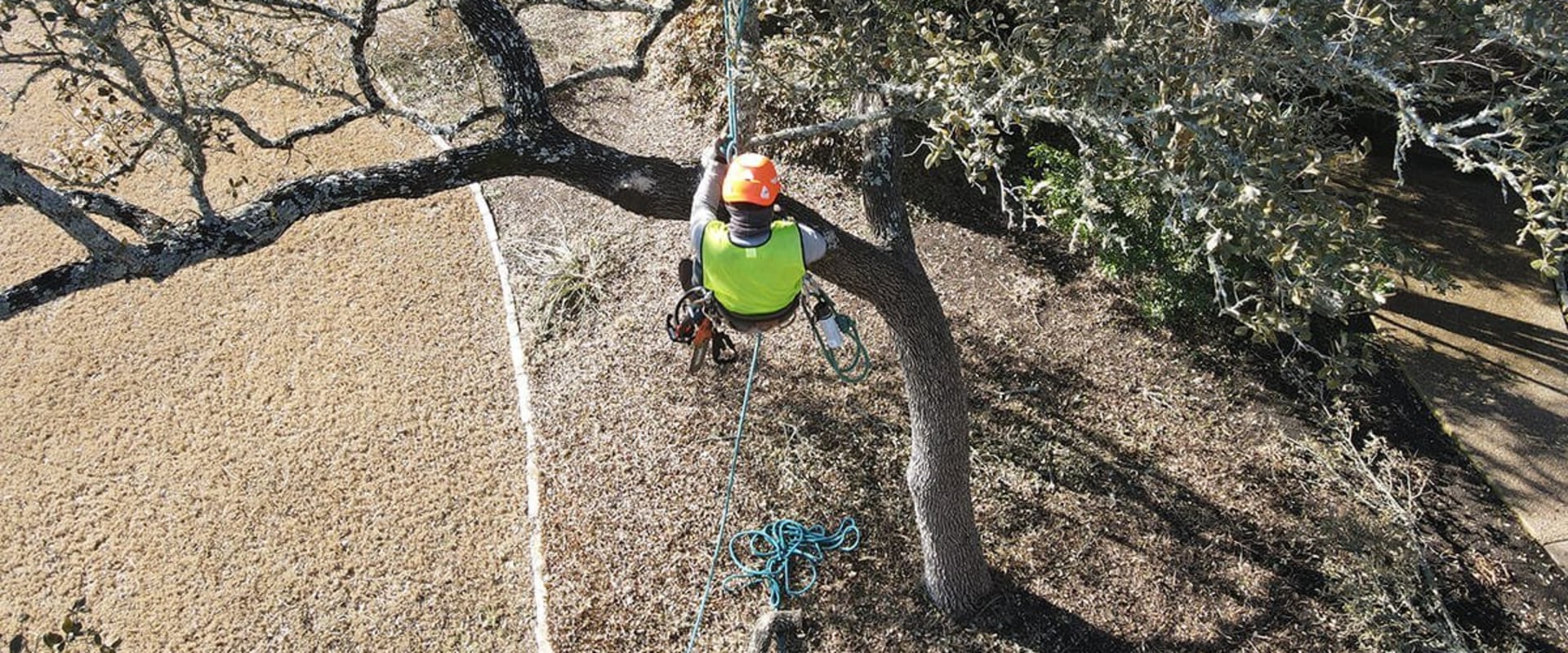 How The Right Tree Service Equipment Ensures Quality Tree Care In ...